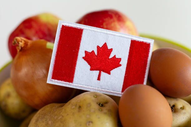 U.S. Products in High Demand in Canada [Market Demand and Segments]