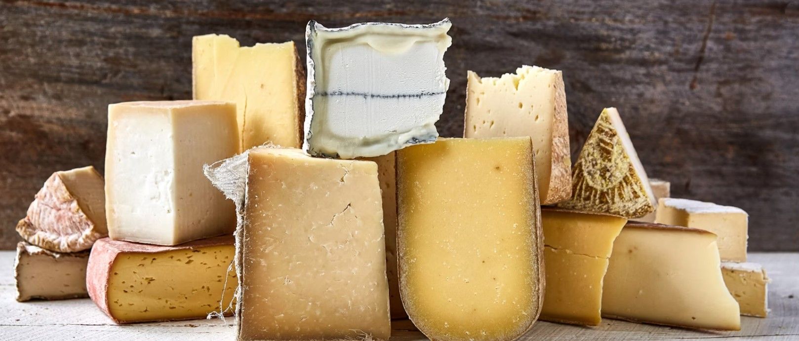 Where to Find the Best Cheese Supplier for Your Business? | B2B Headlines