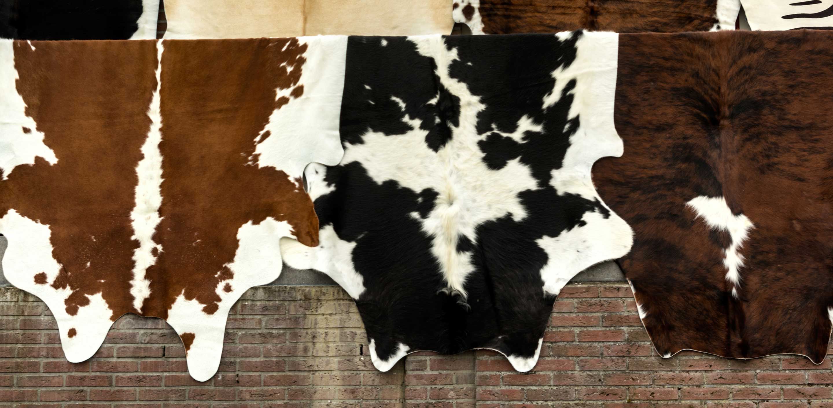 Where to Buy Cow Skin in Bulk? Pricing, Quality Grades, and Shipping ...